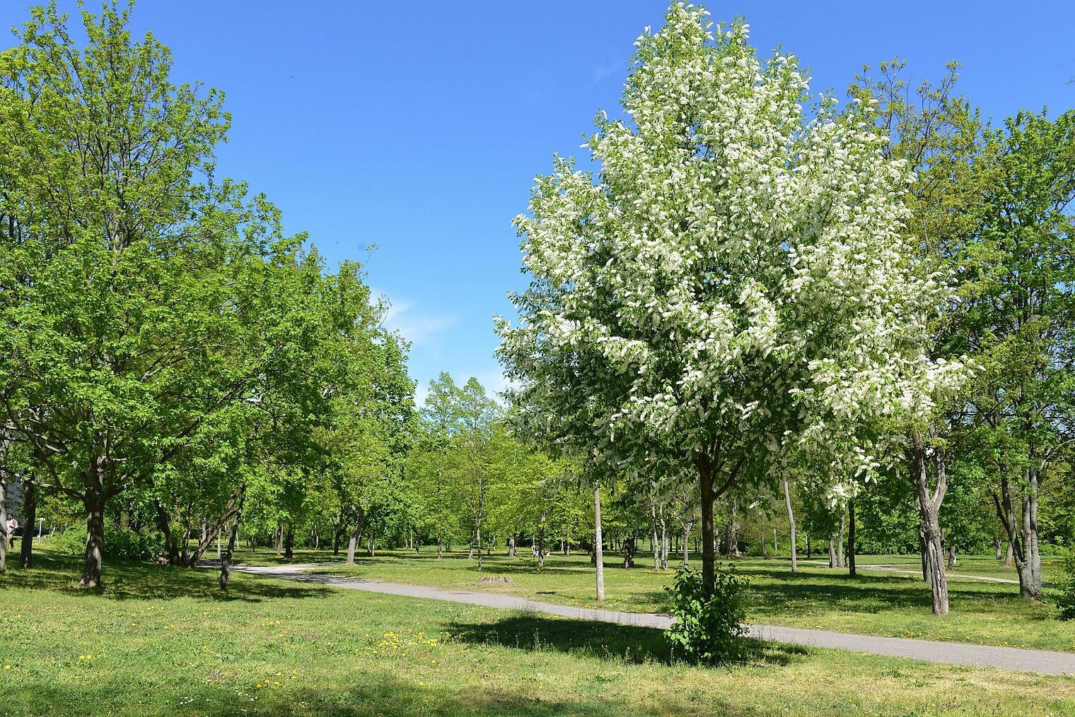 In 25 Minuten am Alex Kaffee trinken - degewo