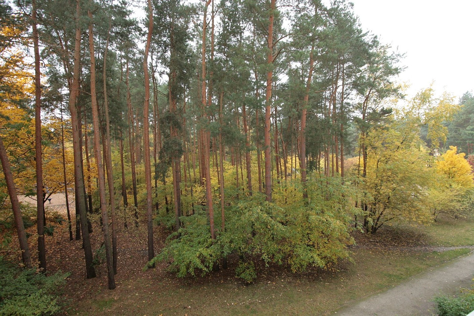 1 Zimmer Wohnung im Allendeviertel - degewo